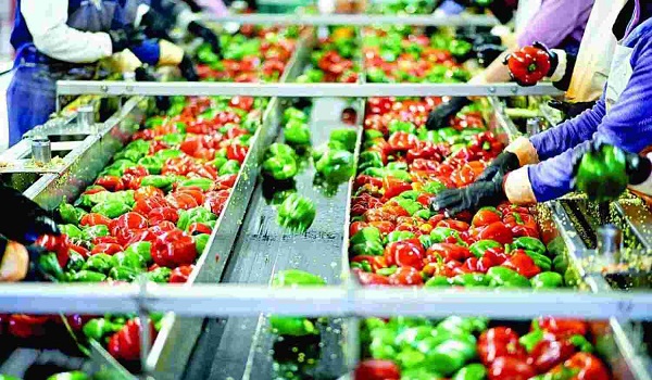Telangana is becoming India's food-processing powerhouse Telangana is becoming India's food-processing powerhouse